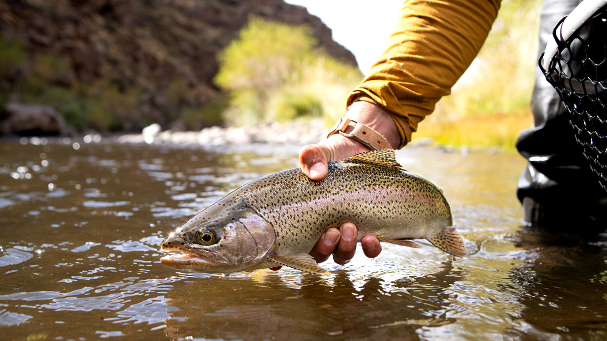 Rakin Lodge | Fly Water Travel