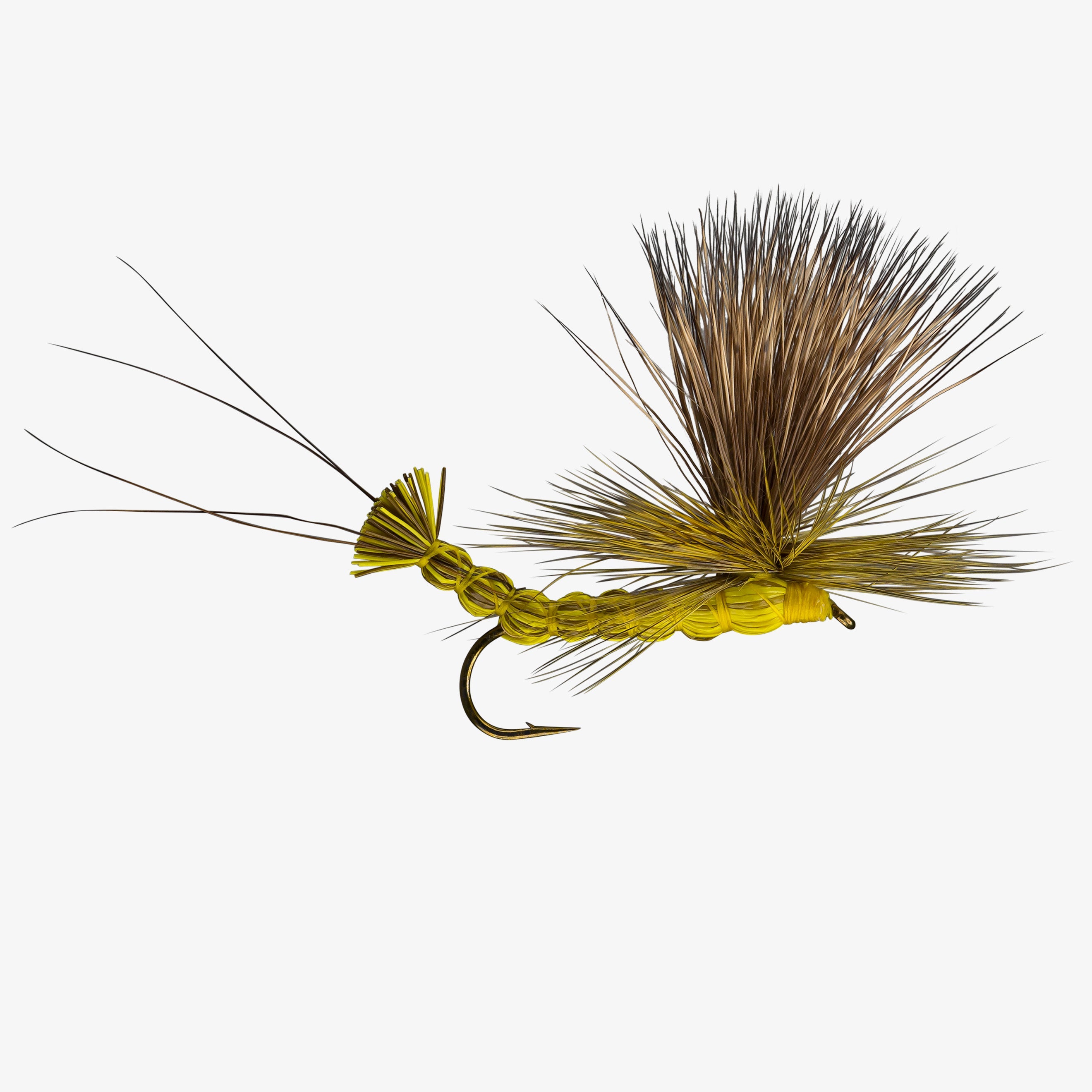 Hex Paradrake | RIO Products