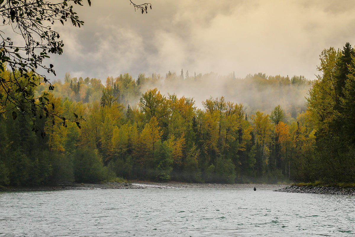 Bulkley River Guided Day Trips - British Columbia Steelhead