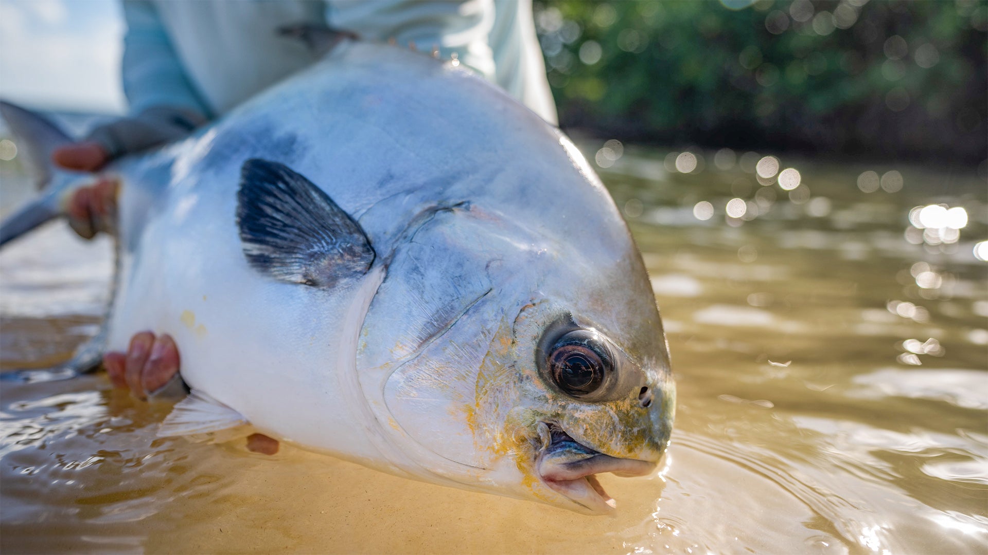 Blue Bonefish Lodge | Fly Water Travel