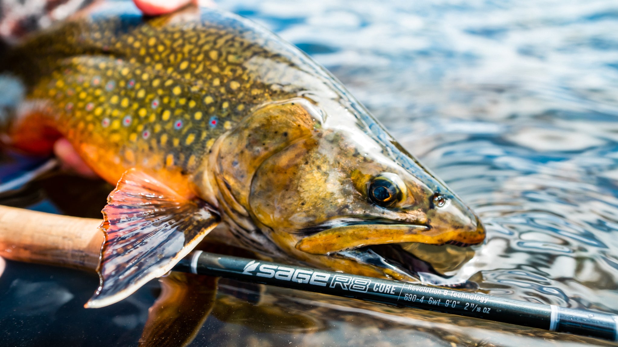 Estancia Rio Pelke | Fly Water Travel