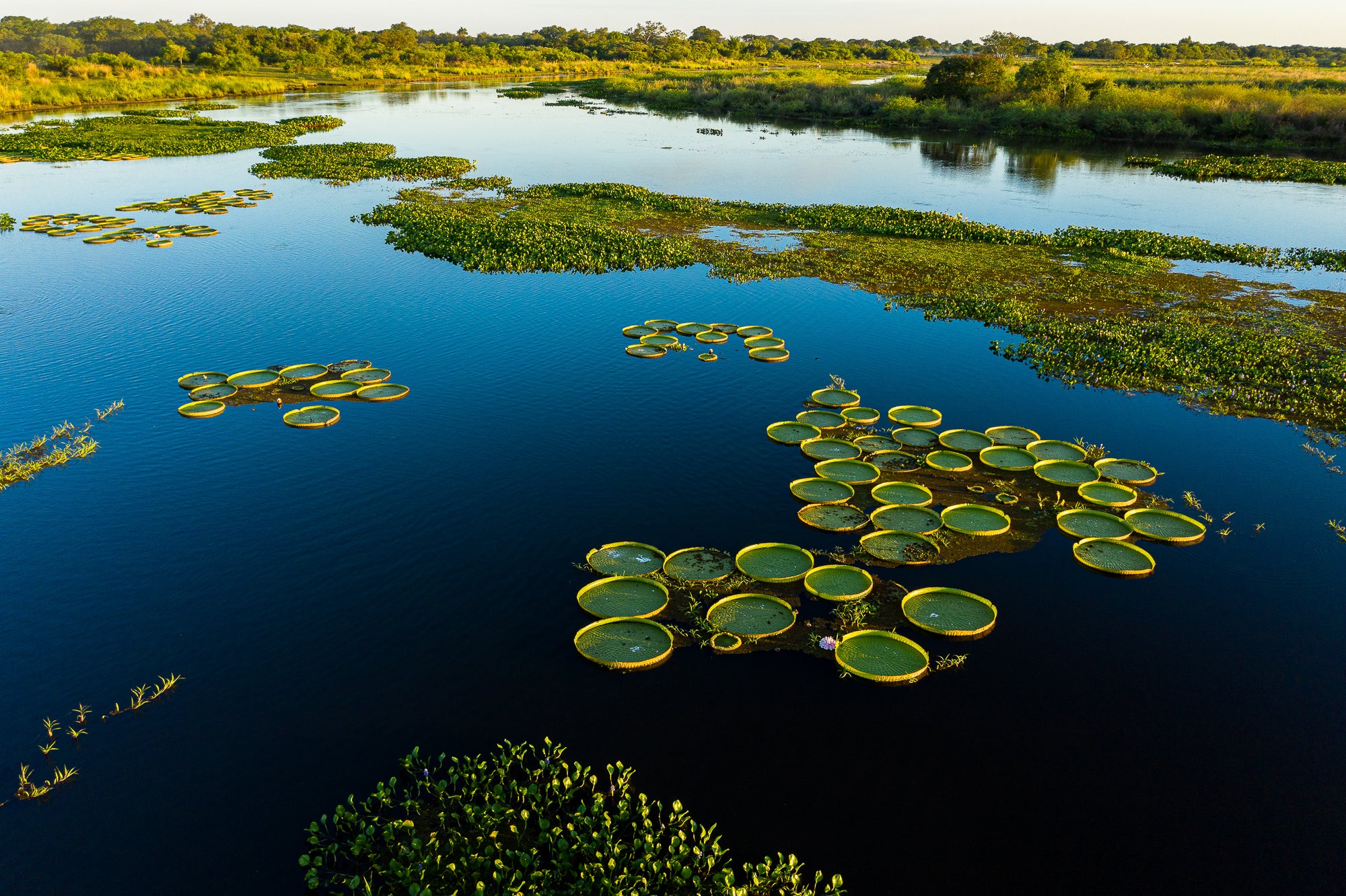 Jetu'u Lodge | Fly Water Travel