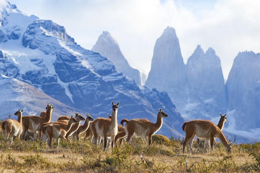 Rumbo Patagon | Fly Water Travel