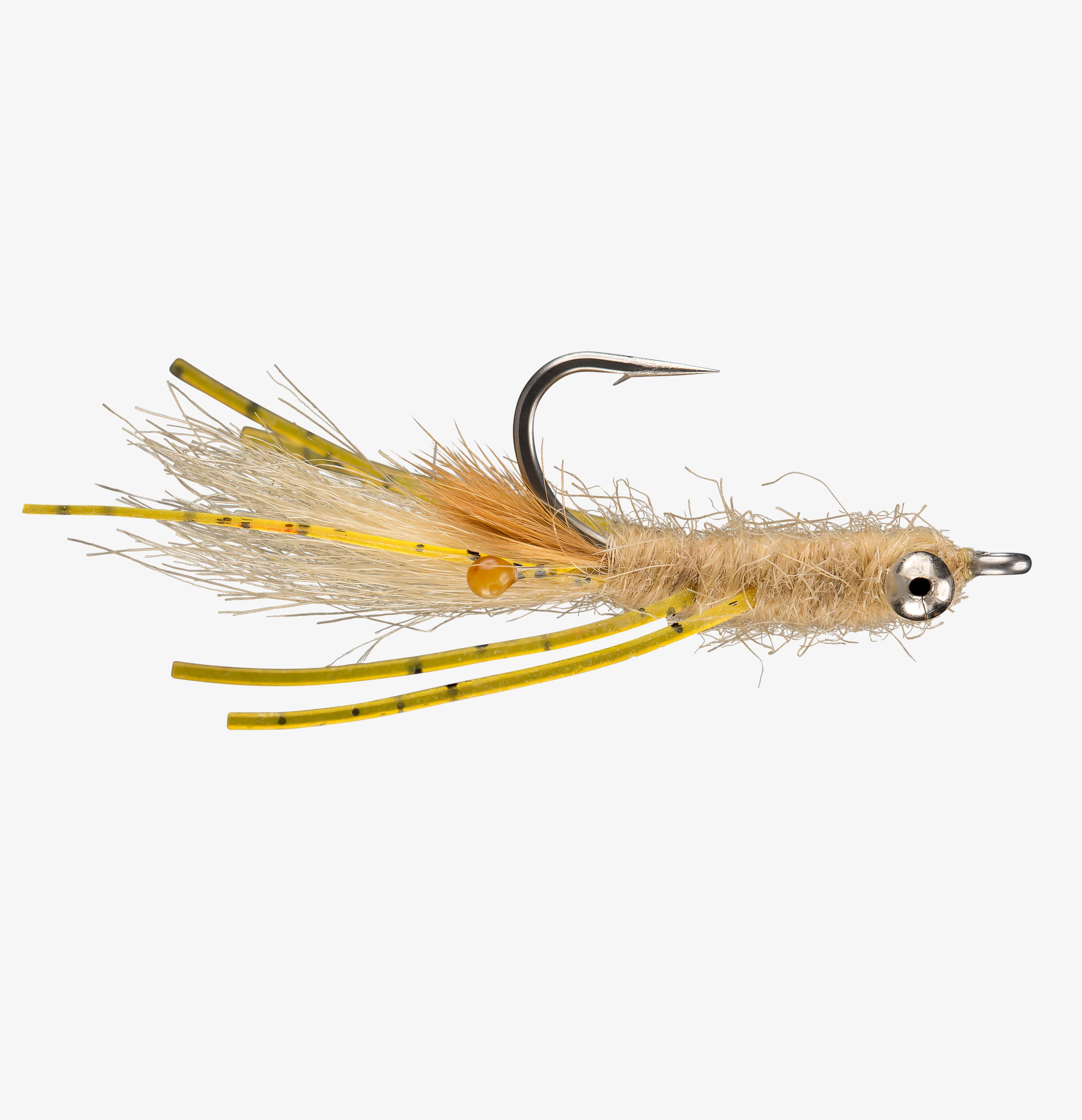 Mantis Shrimp | RIO Products