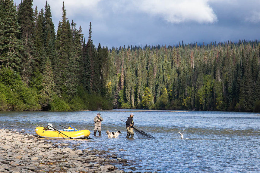 Nass River Steelhead Co. | Fly Water Travel