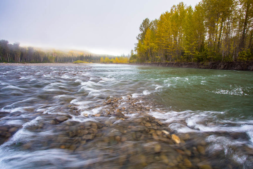 Nass River Steelhead Co. | Fly Water Travel
