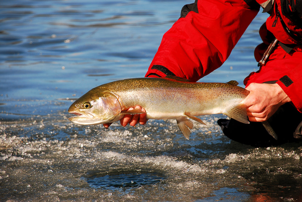 Vermejo Ranch | Fly Water Travel