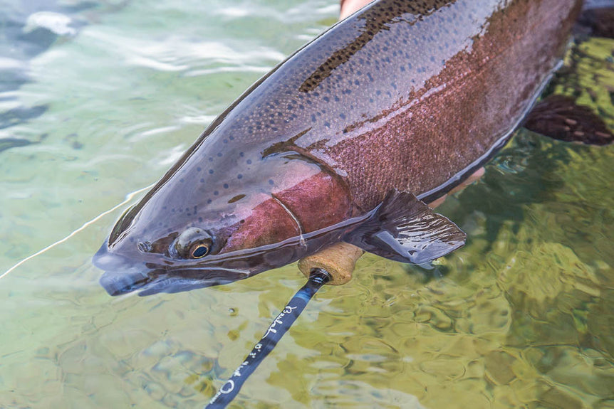 Williamson River | Fly Water Travel