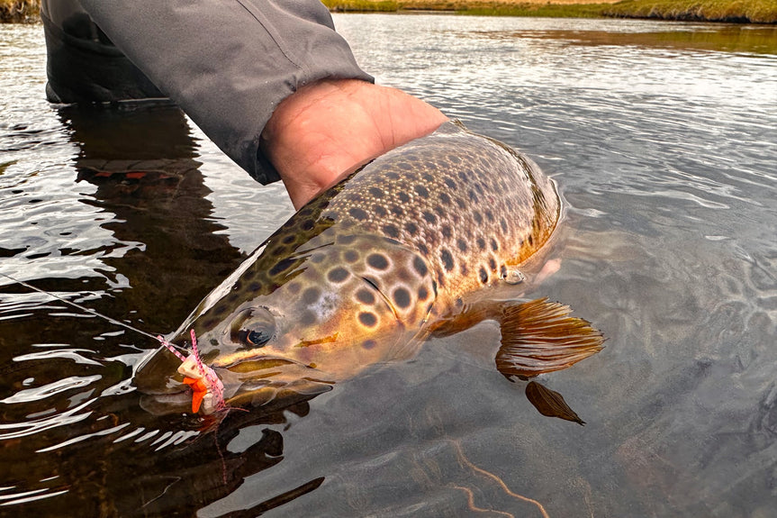 Bella Sofia Lodge | Fly Water Travel