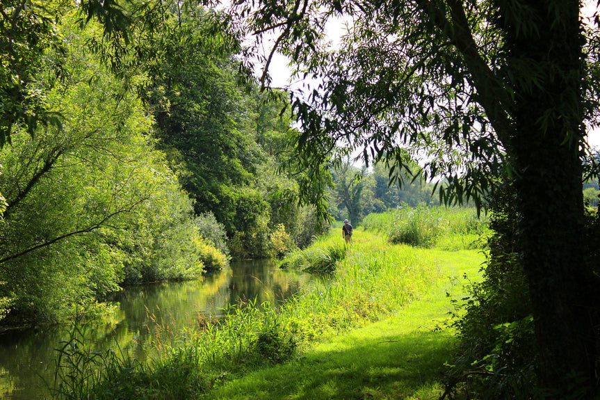 Chalk Streams of England | Fly Water Travel