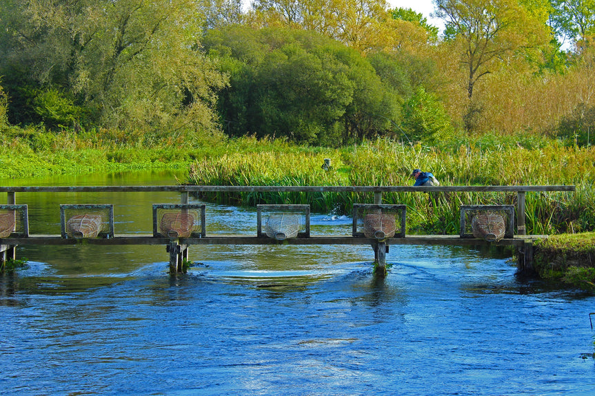 Chalk Streams of England | Fly Water Travel