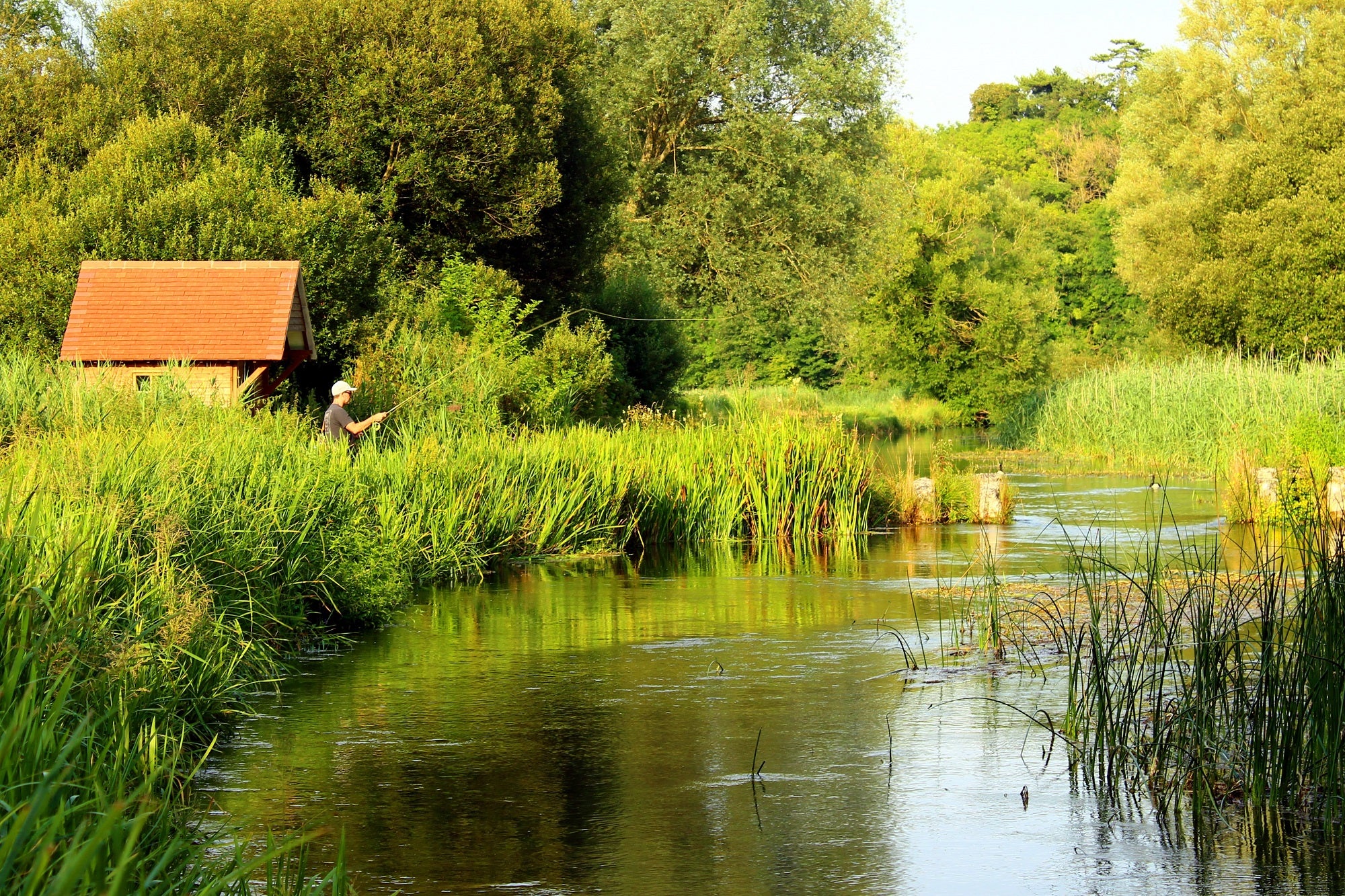 Chalk Streams of England | Fly Water Travel