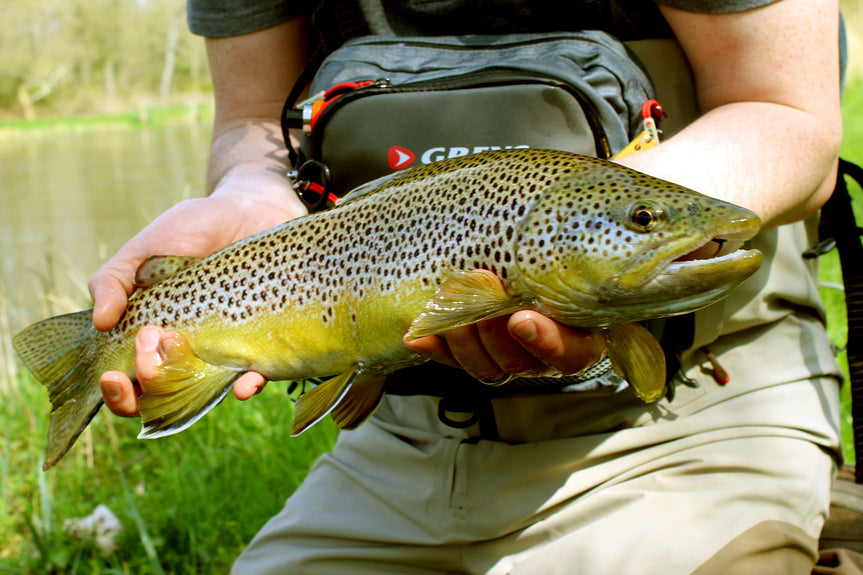 Chalk Streams of England | Fly Water Travel