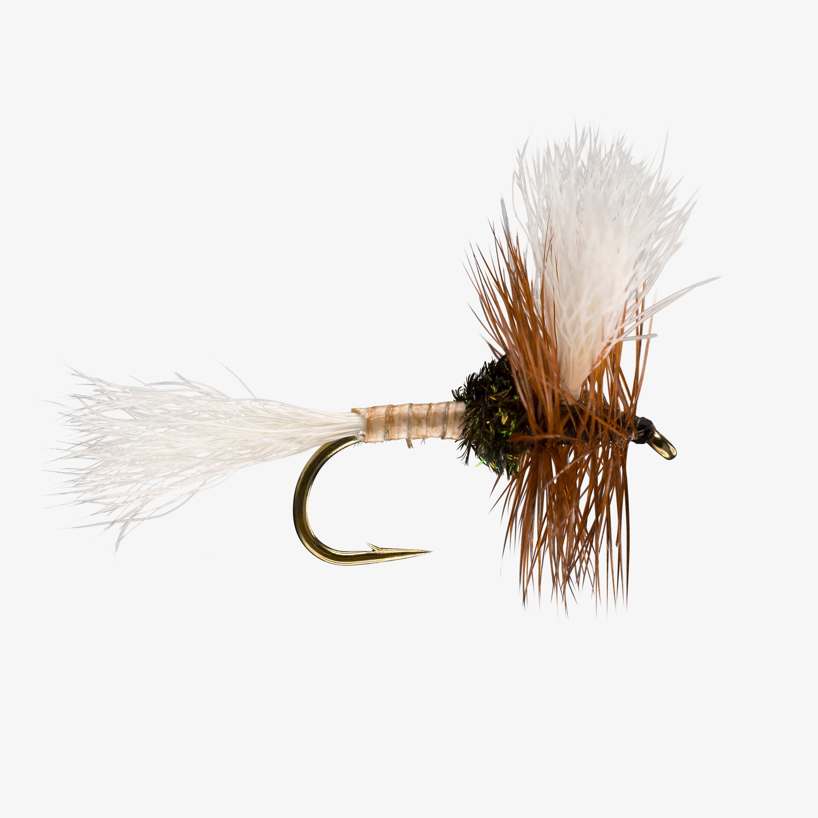 H&L Variant | RIO Products