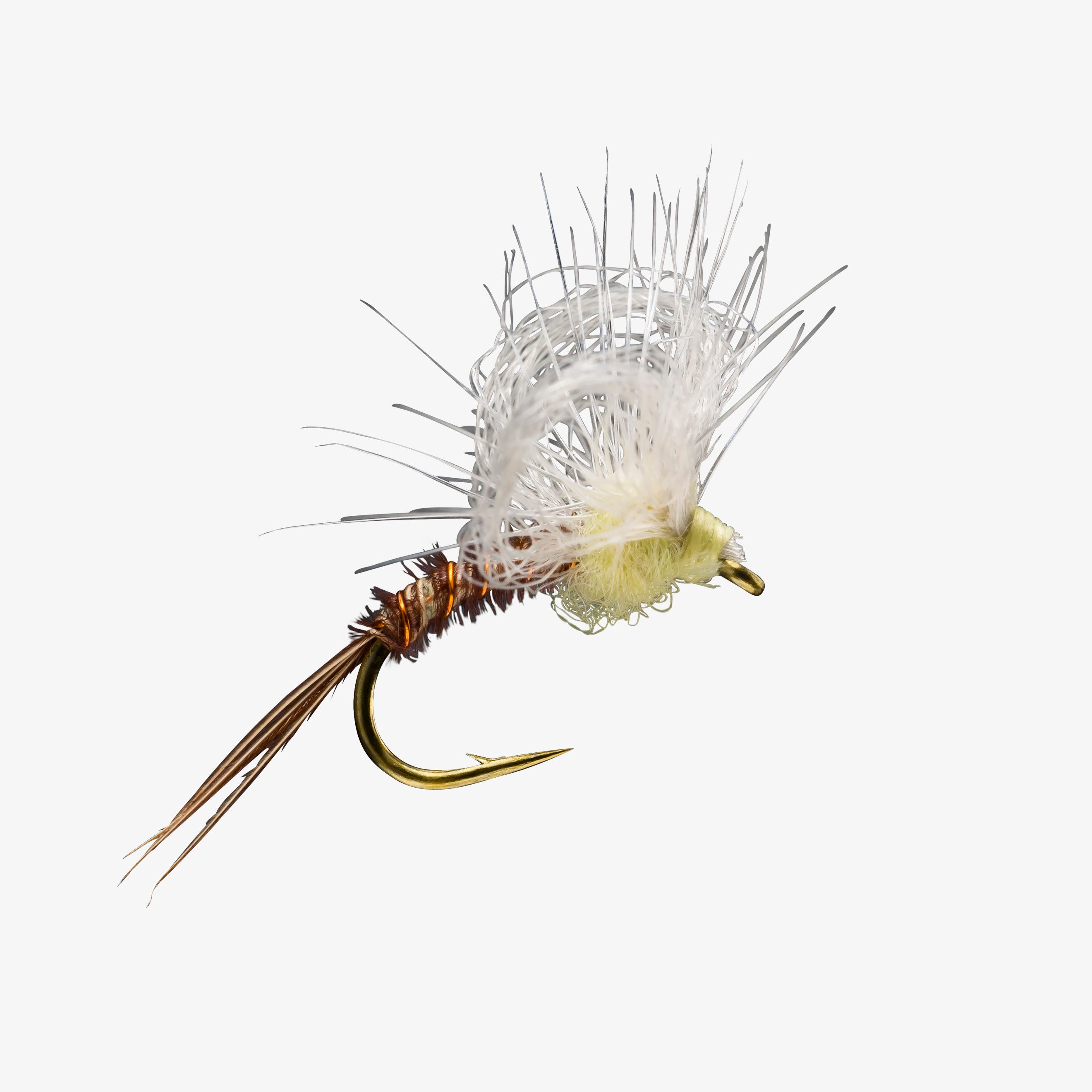 Loopy | RIO Products