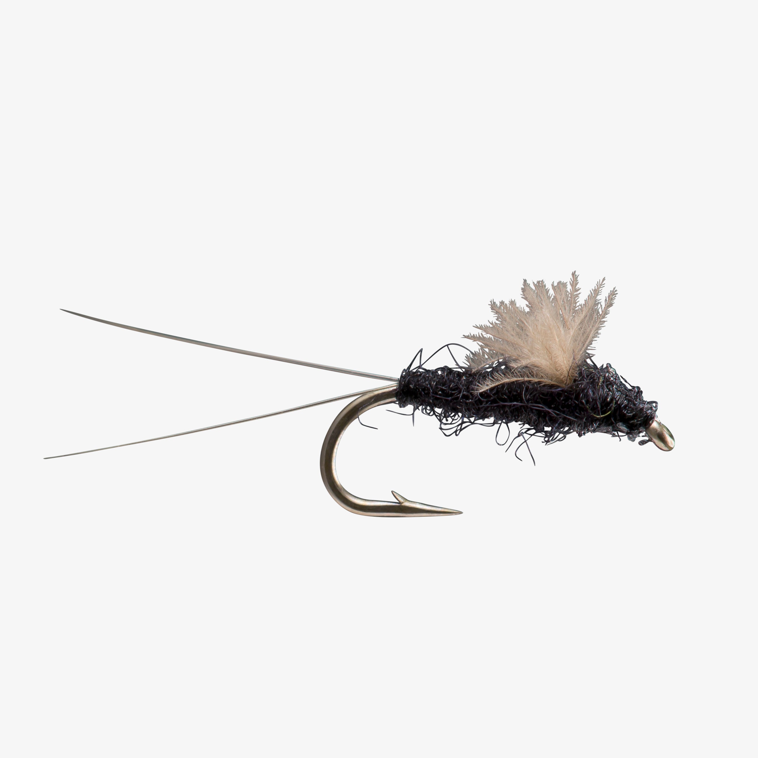 RS2 CDC | RIO Products