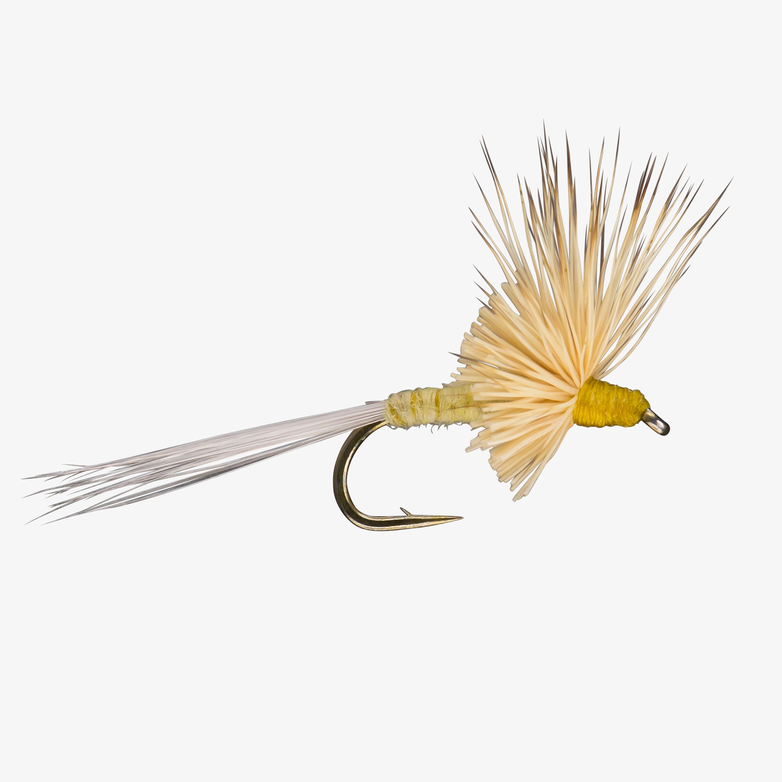 Spun Hair Dun | RIO Products