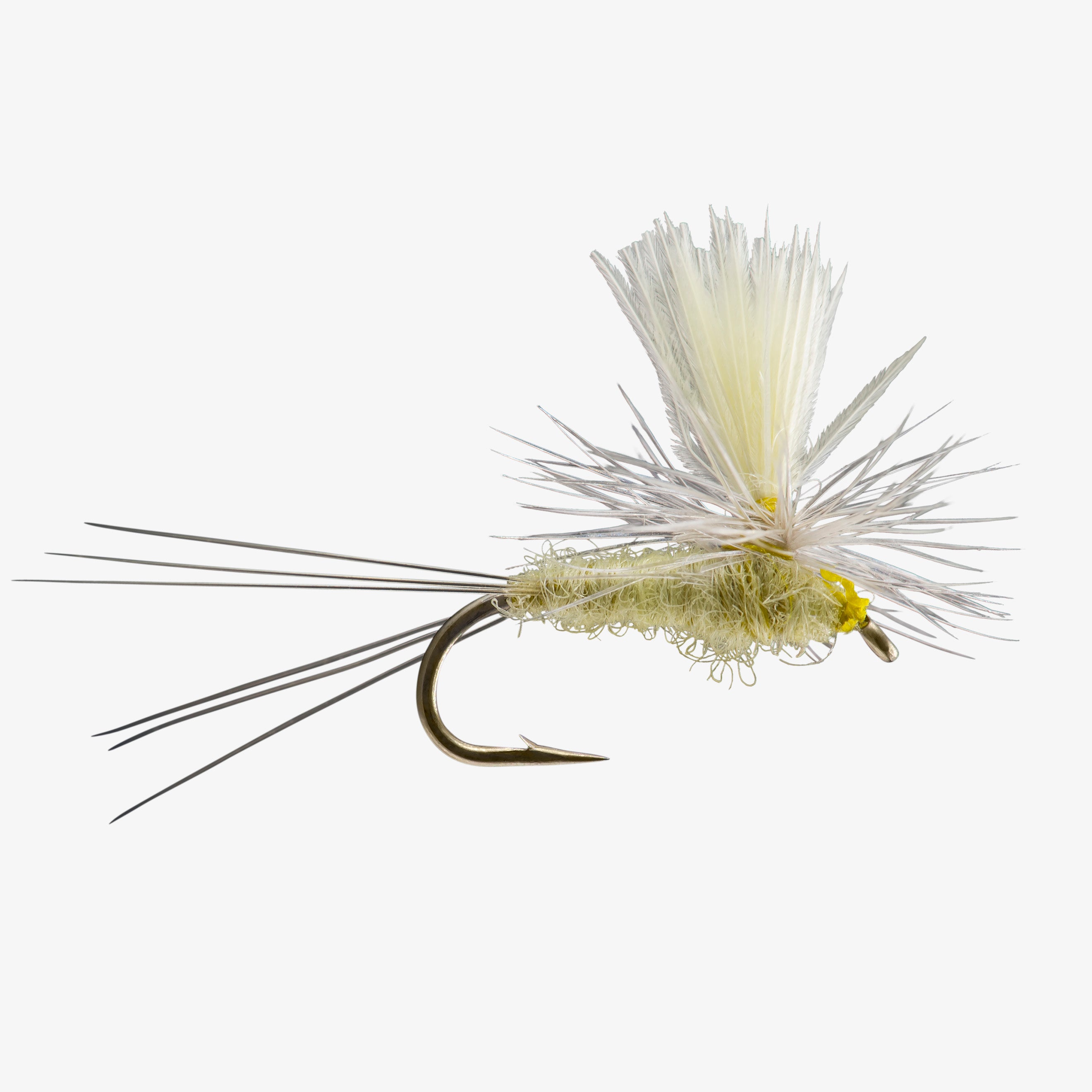 Parachute | RIO Products