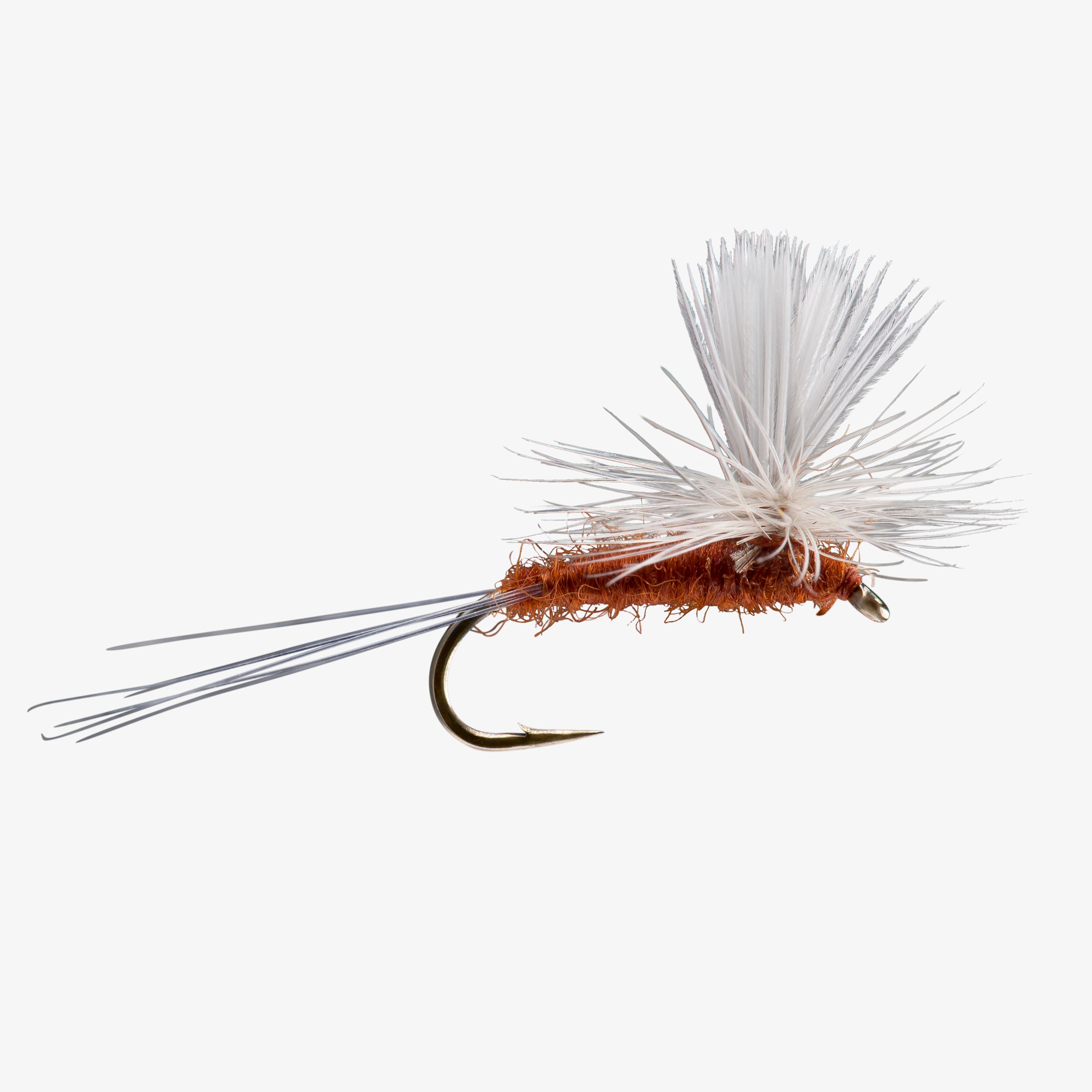 Parachute | RIO Products