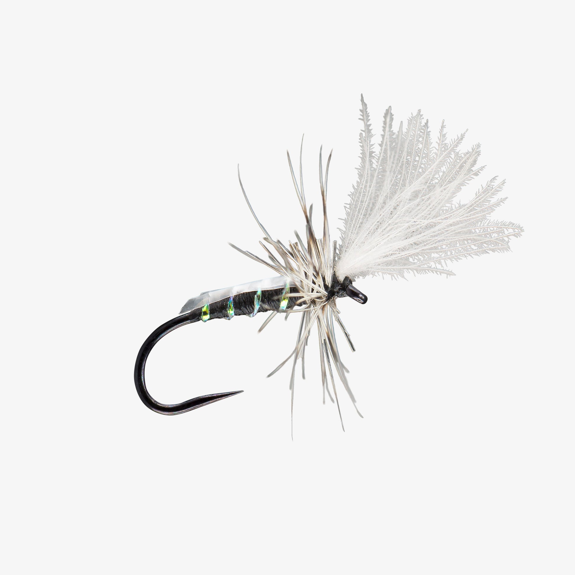 midge fly ehd