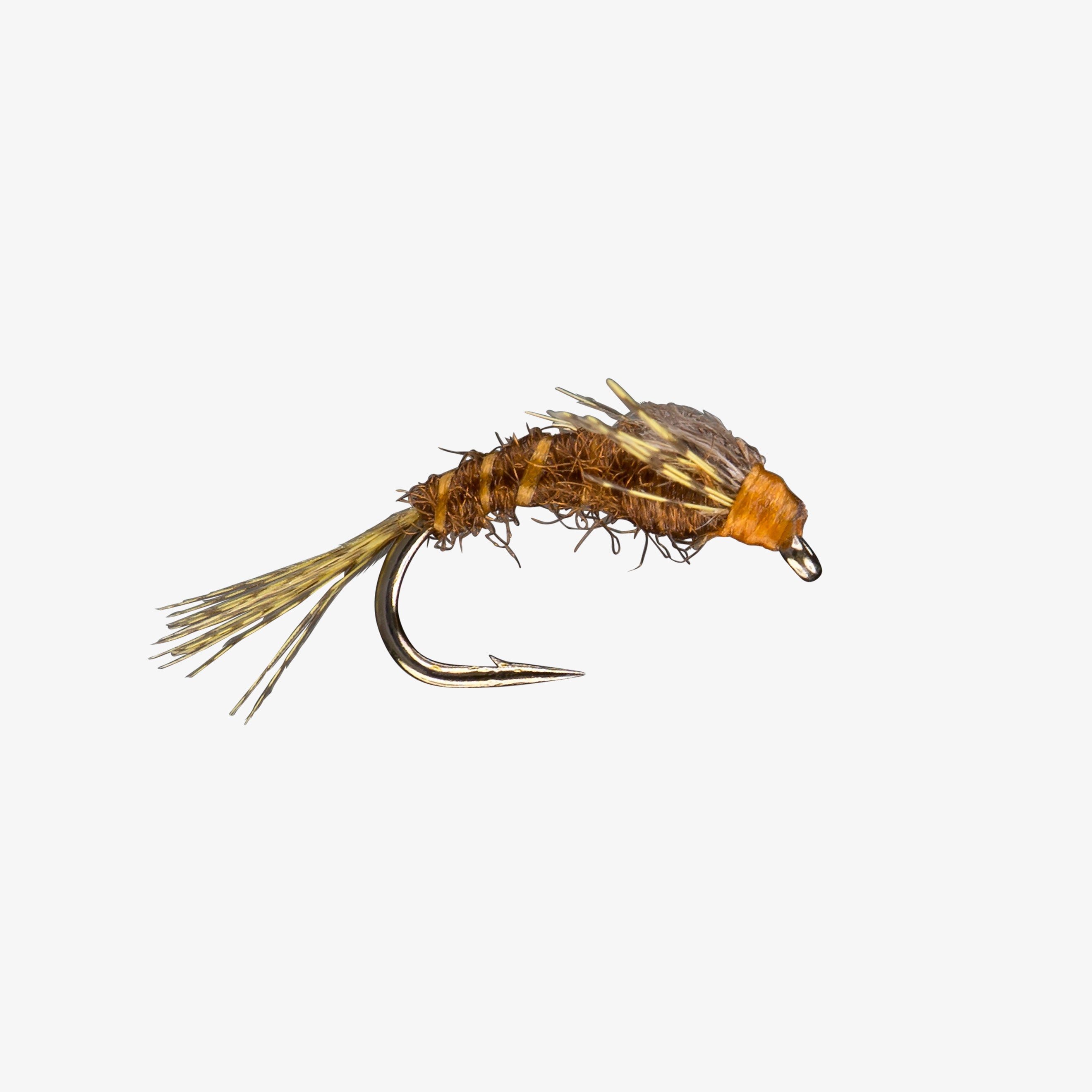 Hunchback | RIO Products