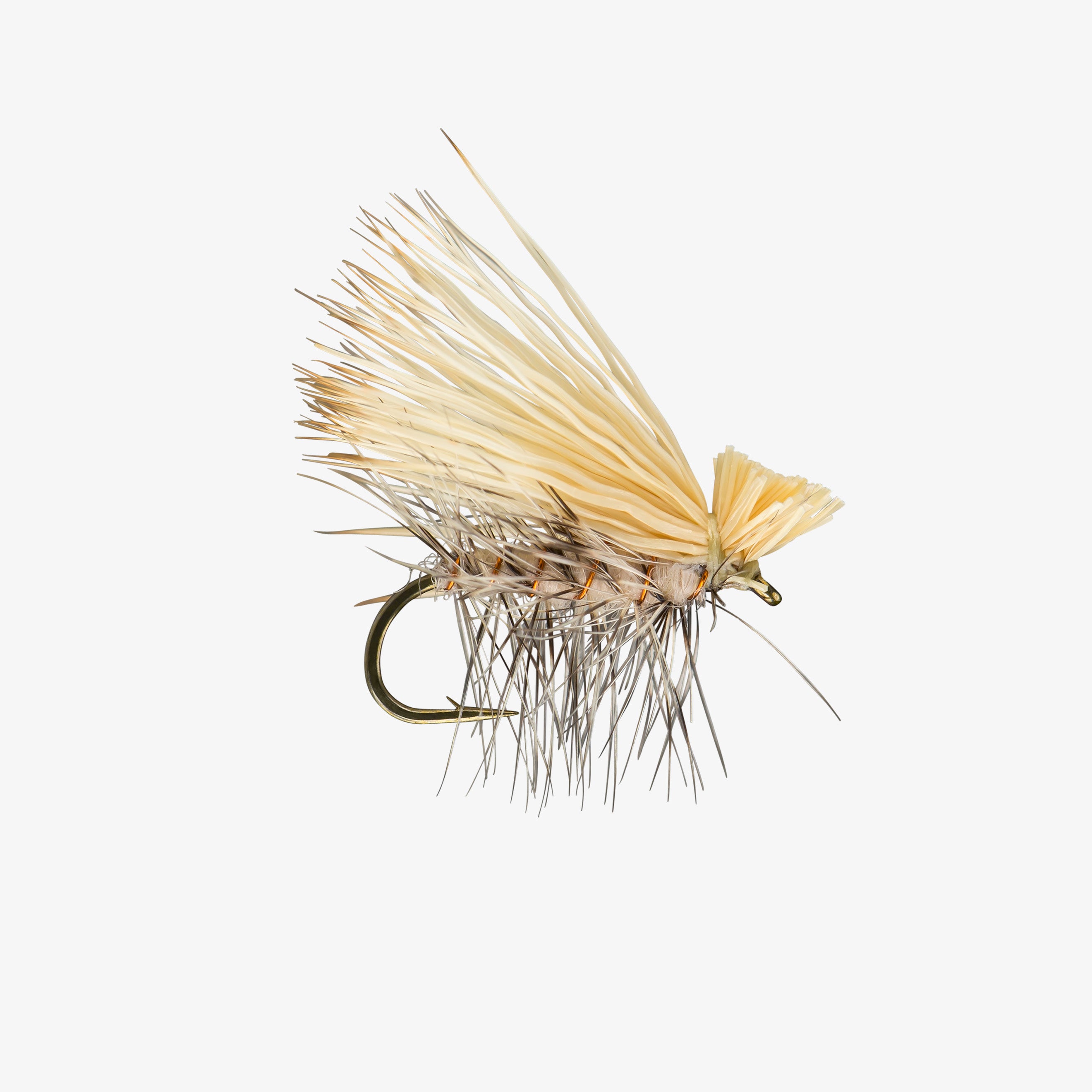 Elk Hair Spruce Moth | RIO Products