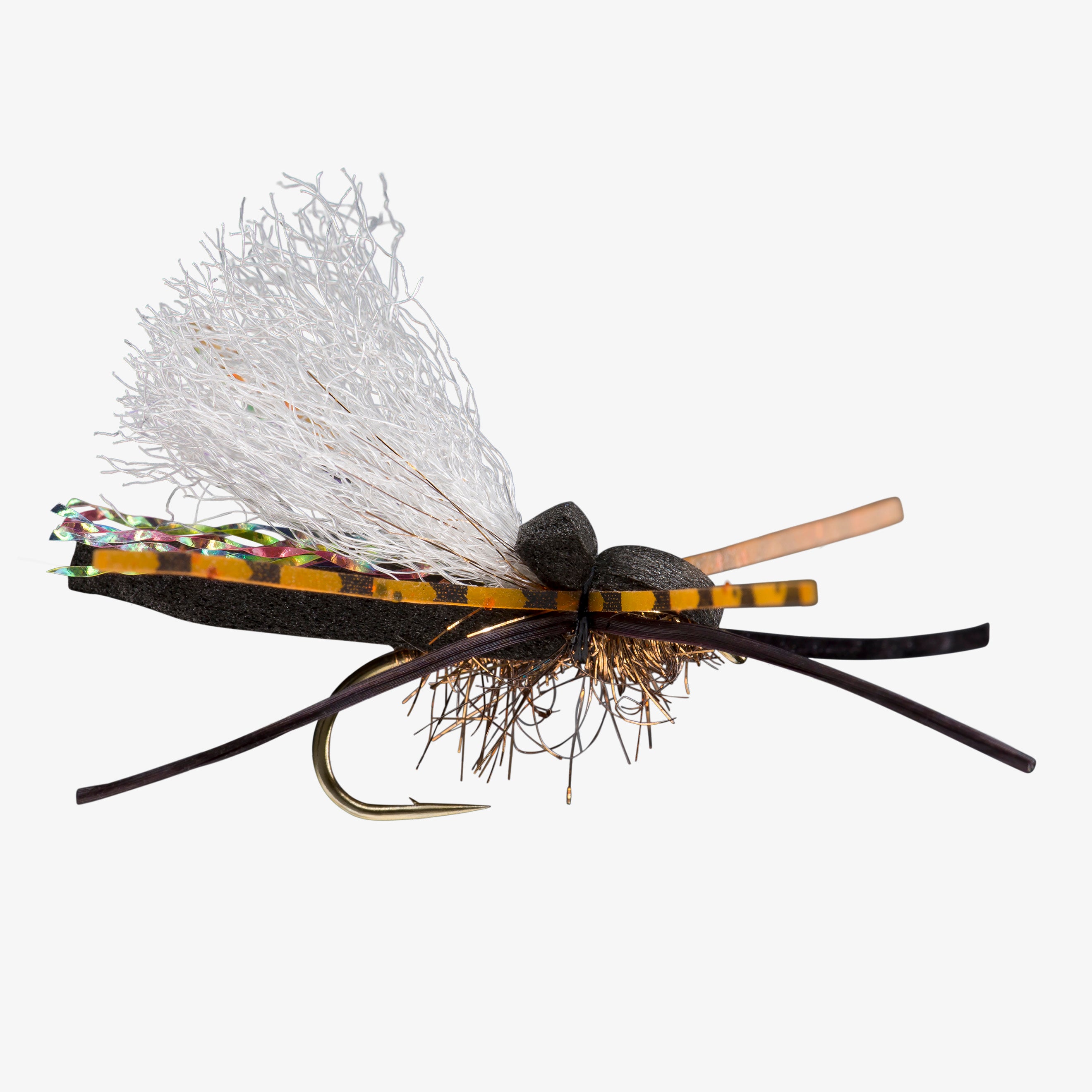 Flat Head Cicada | RIO Products