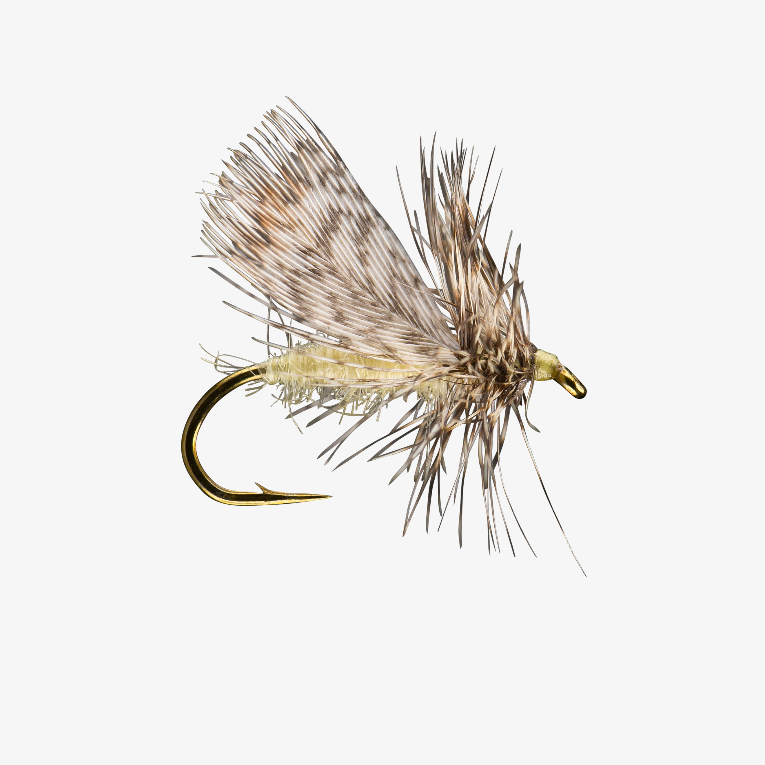 Spent Partridge Spruce Moth | RIO Products