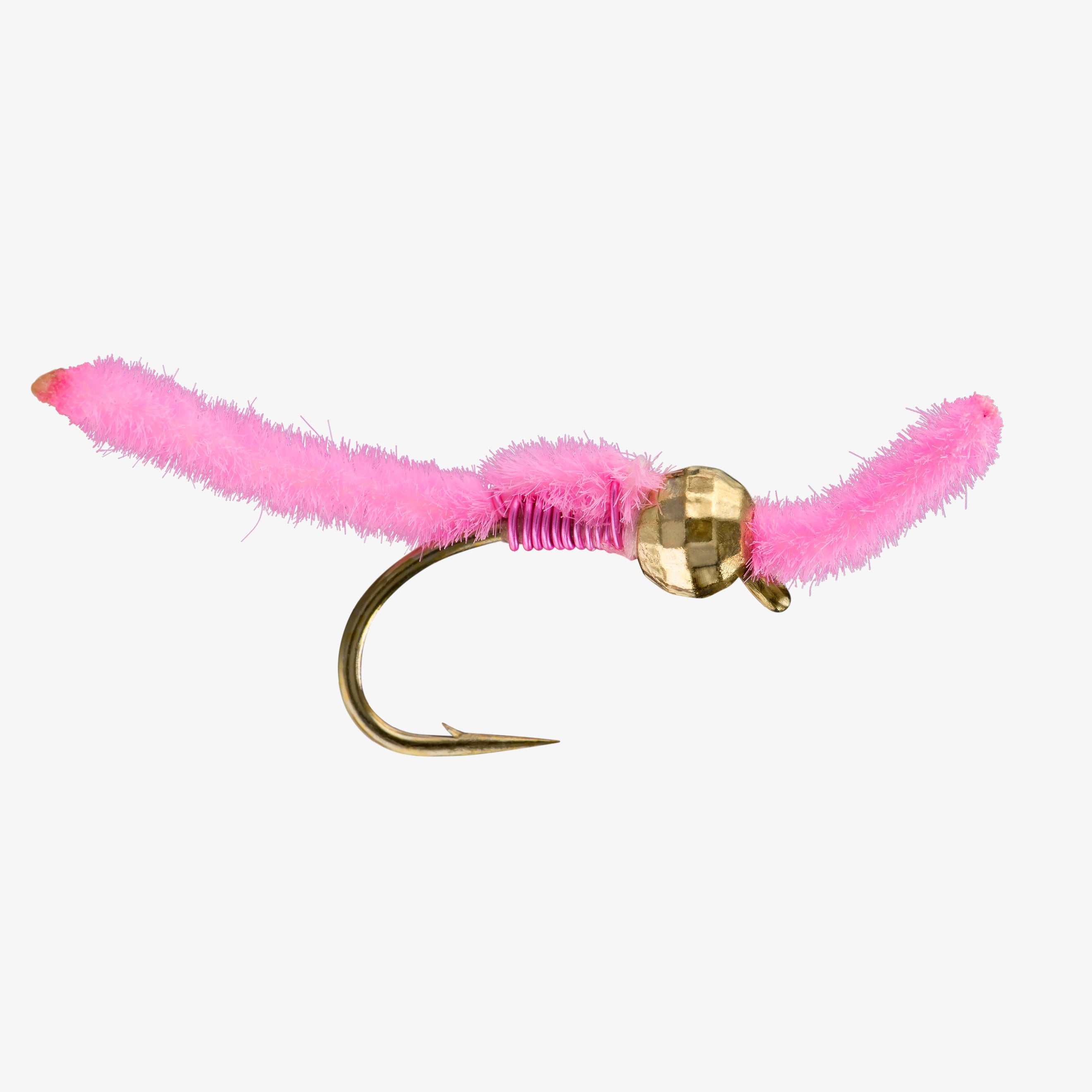 San Juan Worm TB | RIO Products