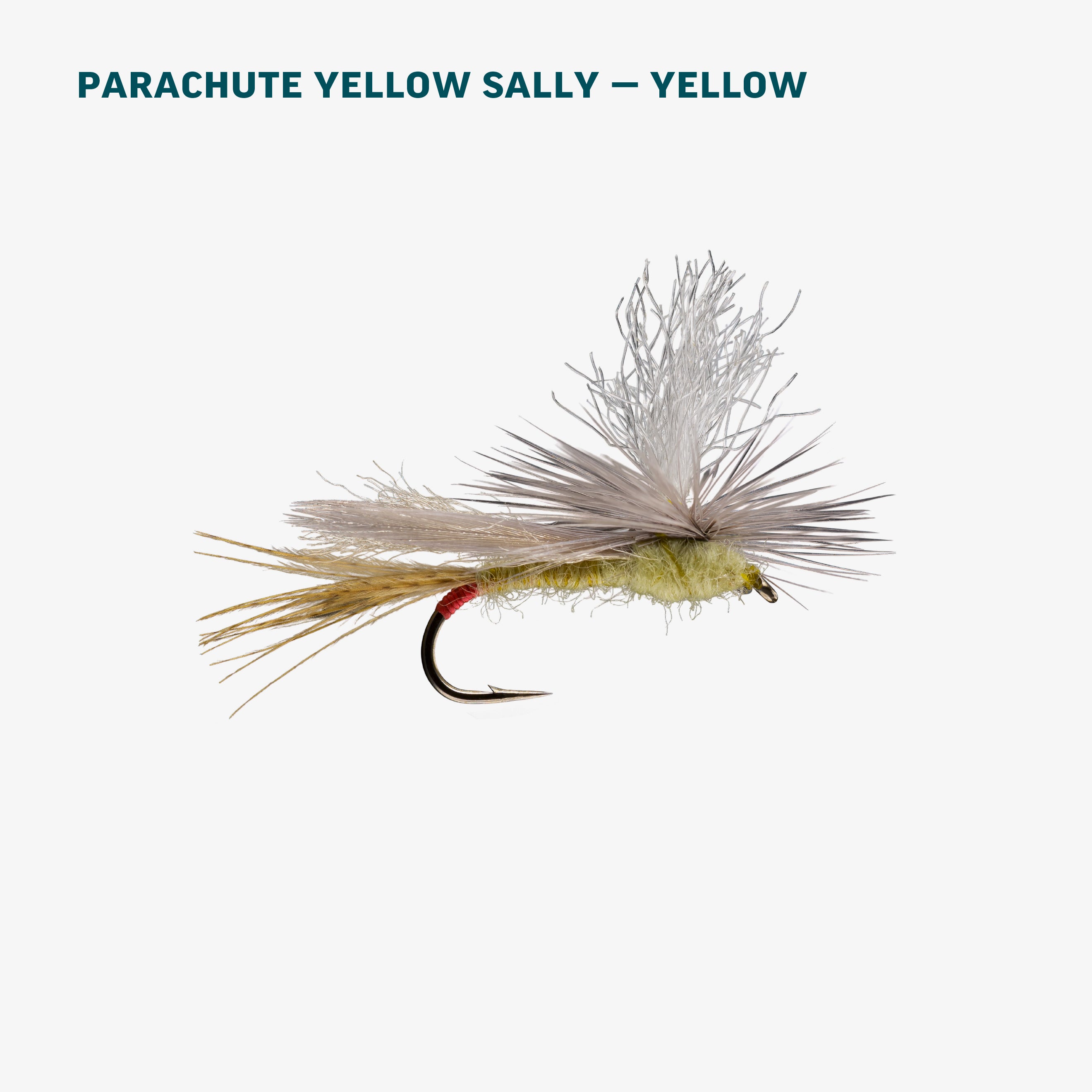 Yellow Sally Dry Fly Assortment | RIO Products