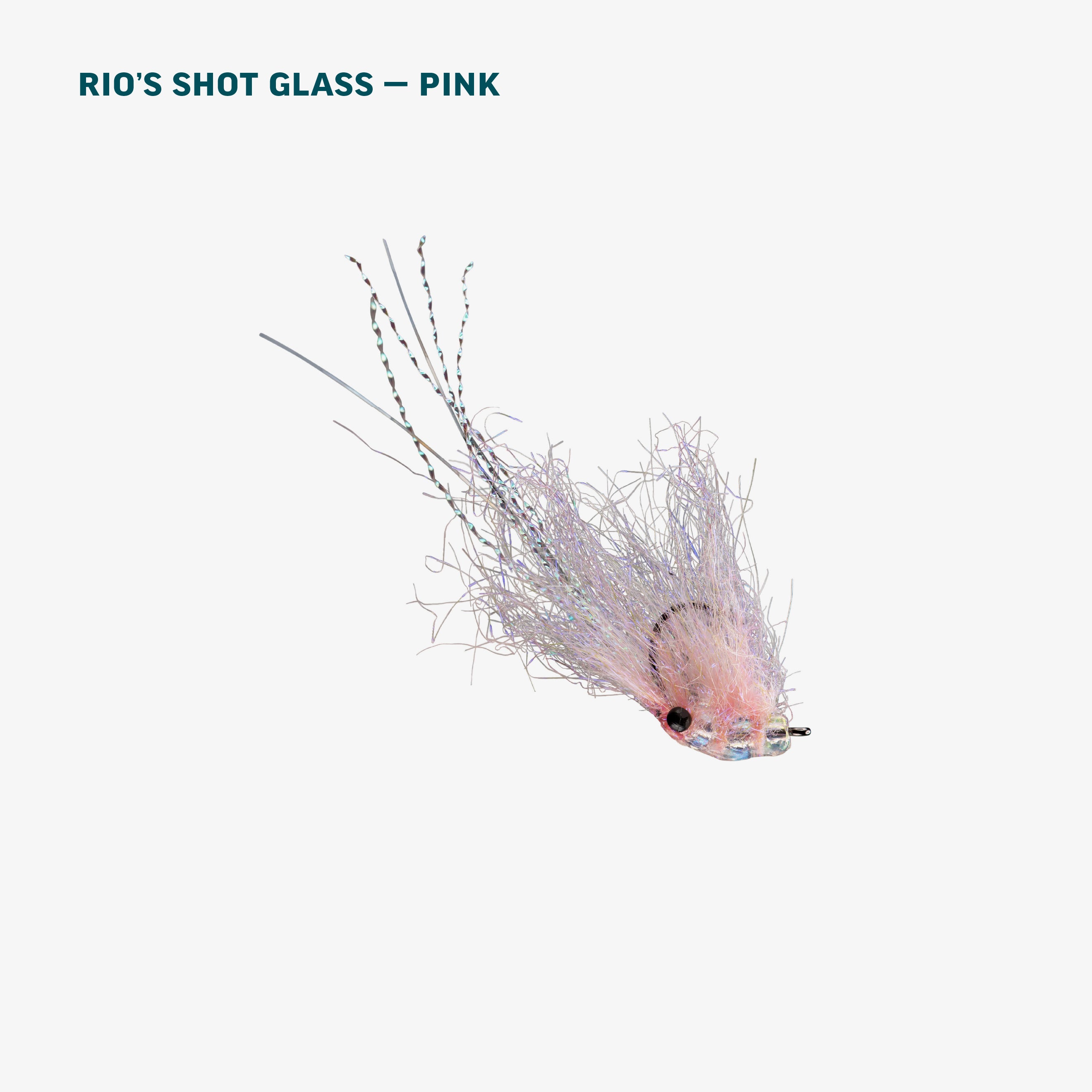 RIO's Signature Bonefish Fly Assortment | RIO Products