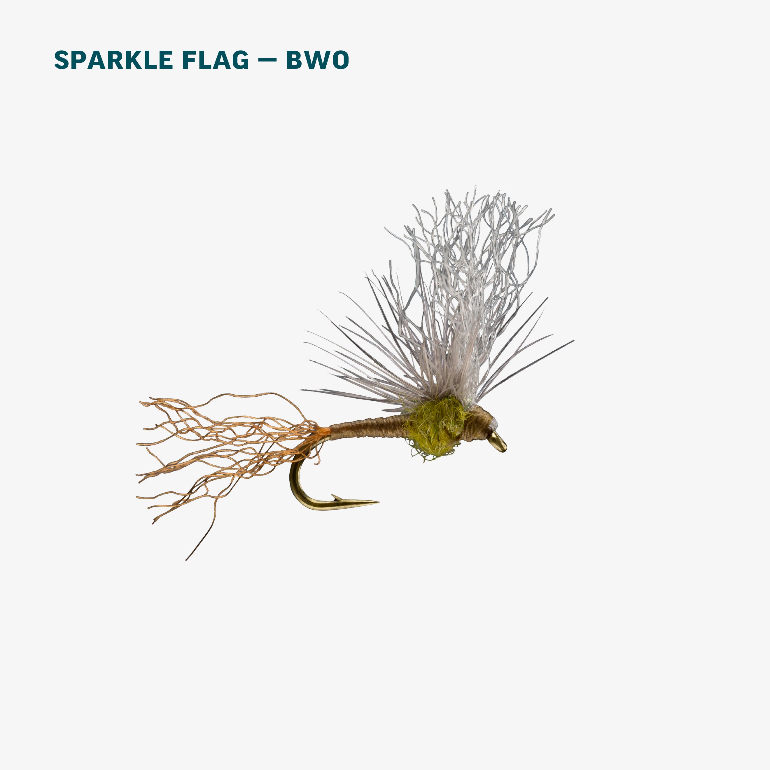 BWO Dry Fly Assortment | RIO Products