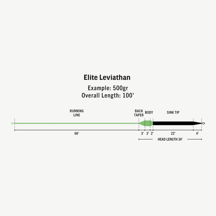 Elite Leviathan Fly Line | RIO Products