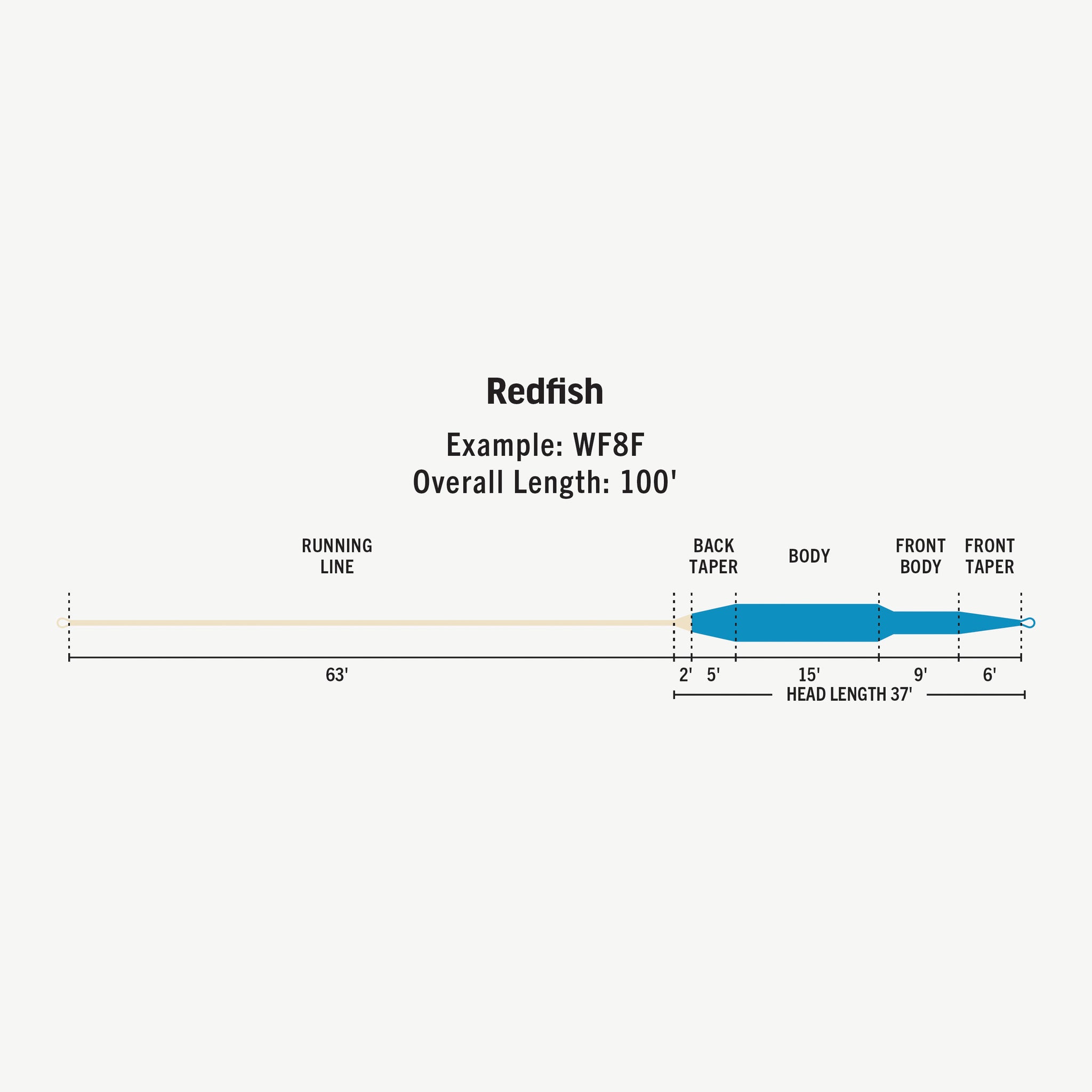 Redfish Fly Line | RIO Products