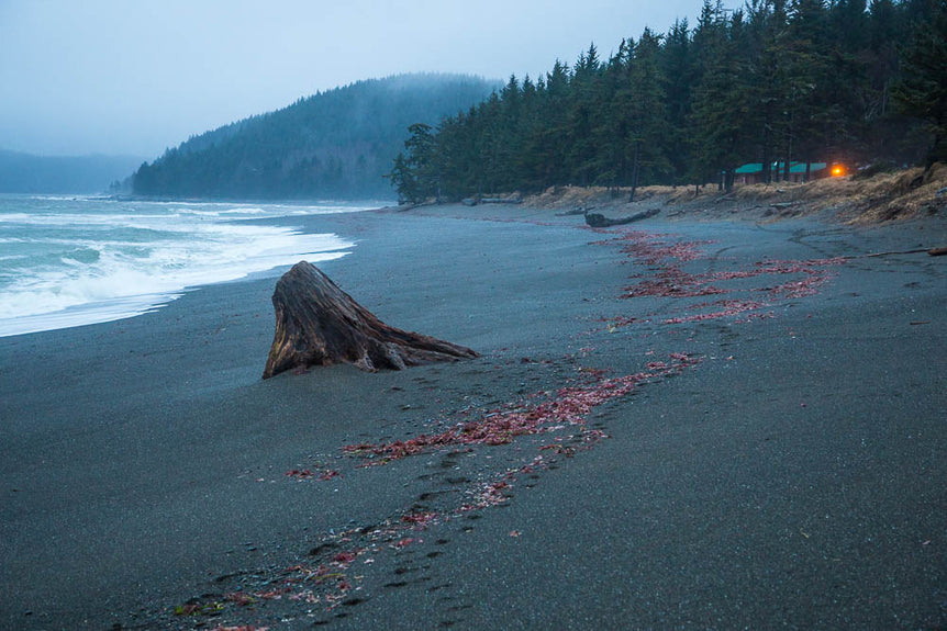 Copper Bay Lodge | Fly Water Travel