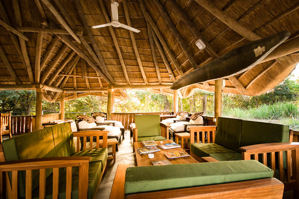 Tanzania Trophy Tiger Safari | Fly Water Travel