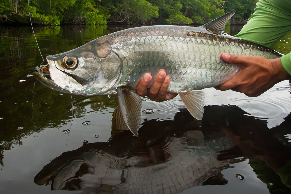 Isla del Sabalo | Fly Water Travel