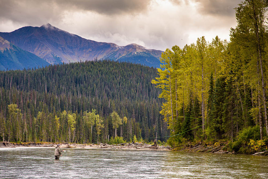 Nass River Steelhead Co. | Fly Water Travel